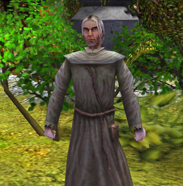 Ereon - SpellForce Wiki - Rohens encyclopedia